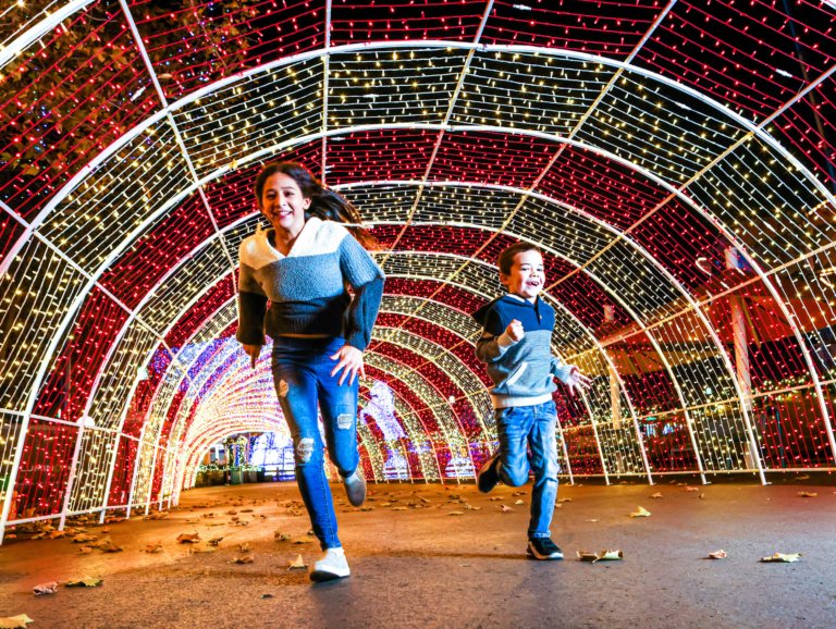 Elitch Holidays - Elitch Gardens